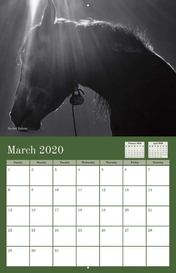 Colorado Mustangs 2020 Calendar Fundraising