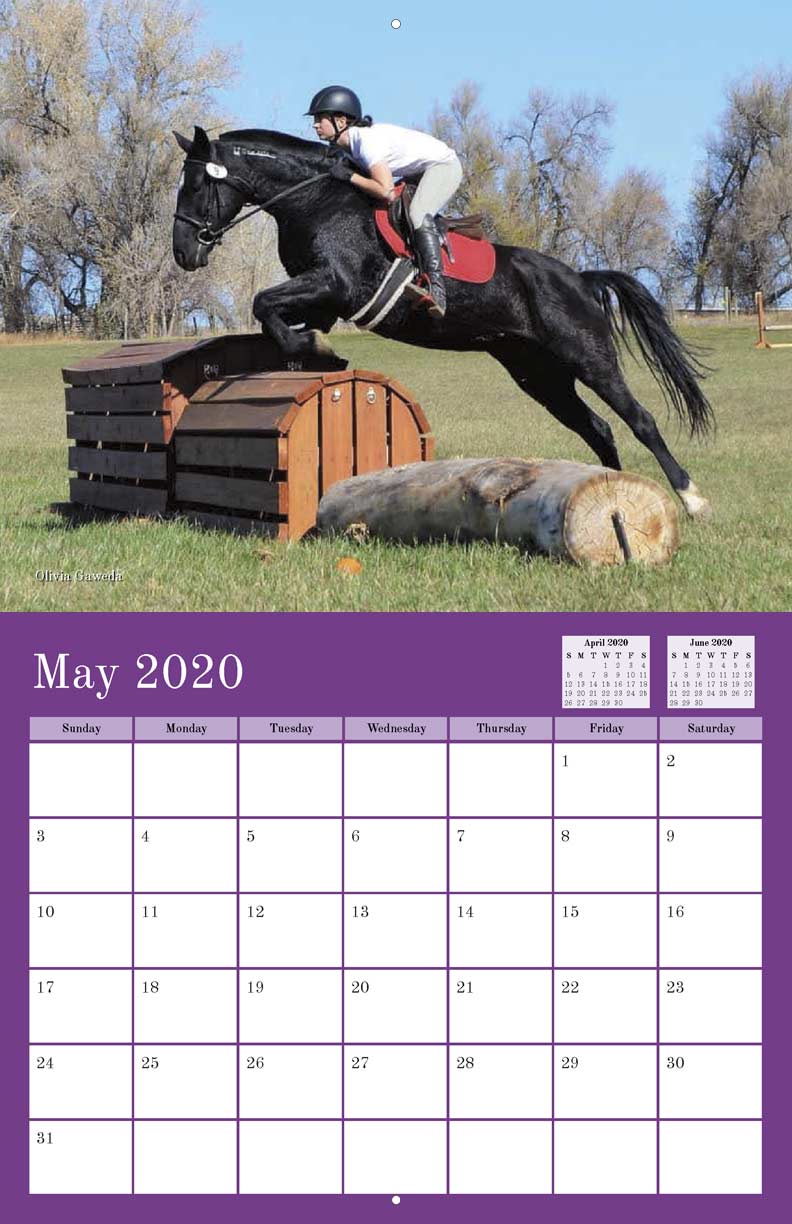 Colorado Mustangs 2020 Calendar Fundraising