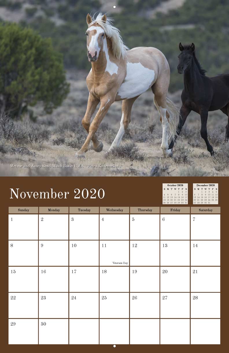 Colorado Mustangs 2020 Calendar Fundraising