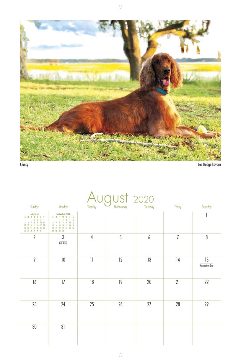 Irish Setter Lovers 2020 Calendar Fundraising