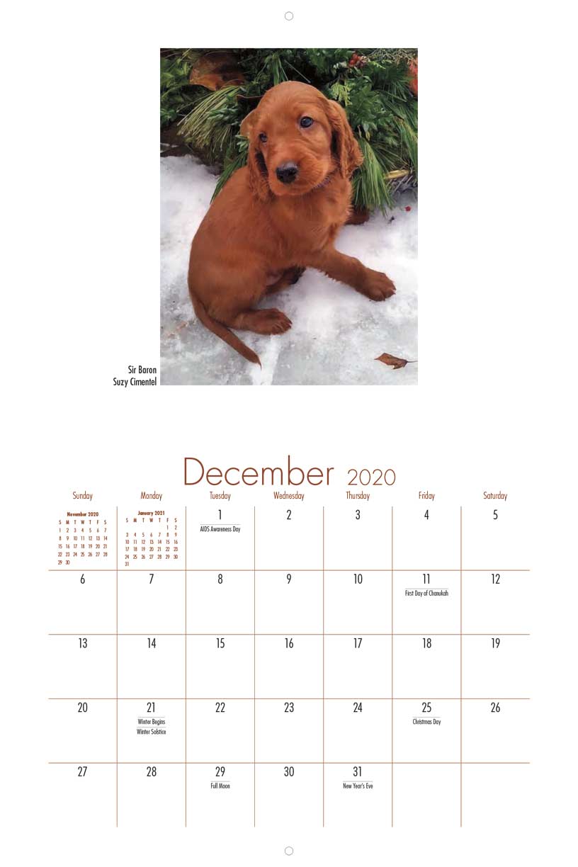 Irish Setter Lovers 2020 Calendar Fundraising