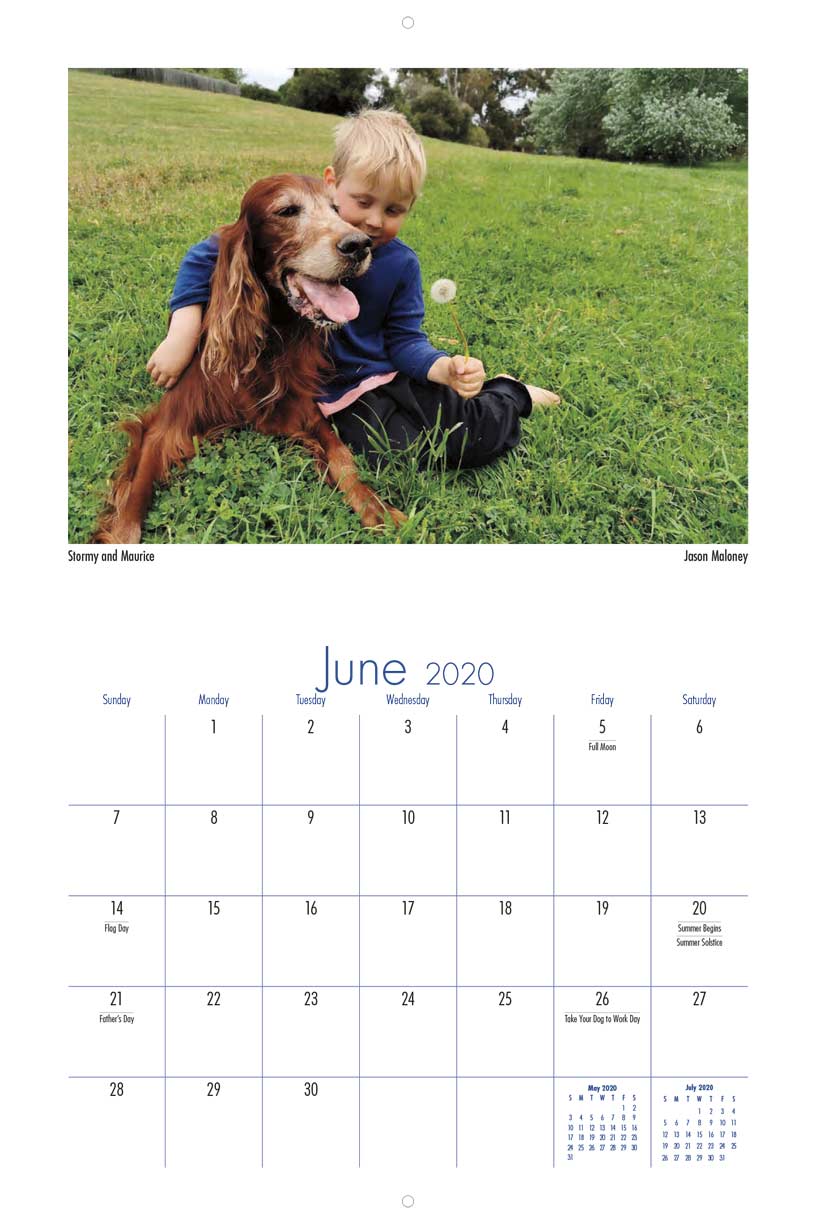 Irish Setter Lovers 2020 Calendar Fundraising