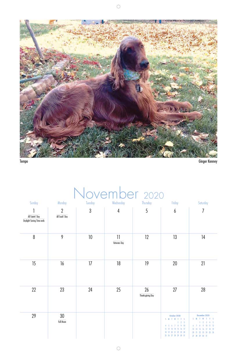 Irish Setter Lovers 2020 Calendar Fundraising