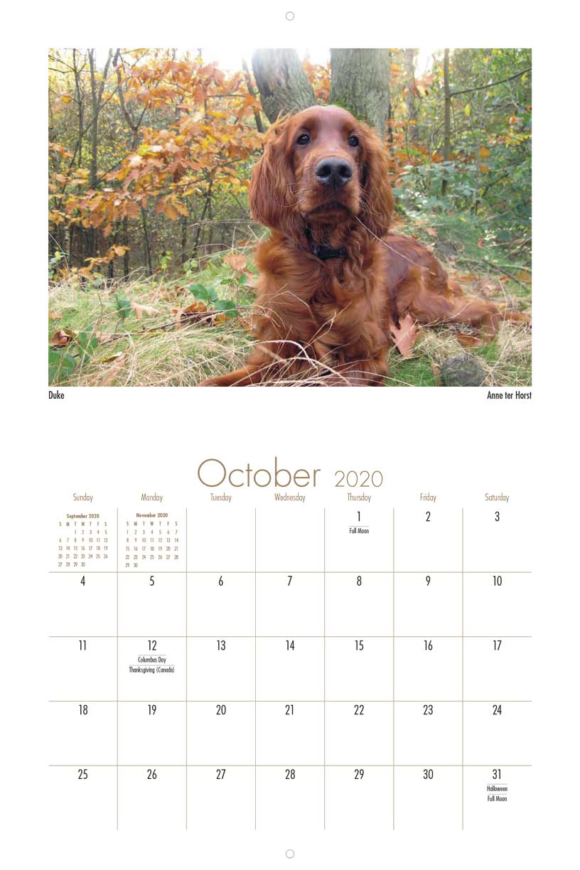 Irish Setter Lovers 2020 Calendar Fundraising