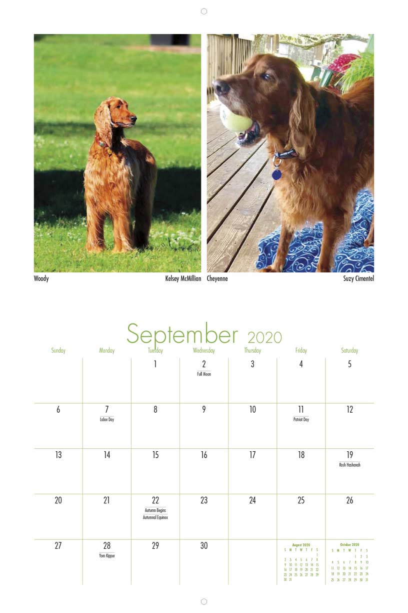 Irish Setter Lovers 2020 Calendar Fundraising