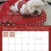 National Mill Dog Rescue 2020 Calendar Fundraising