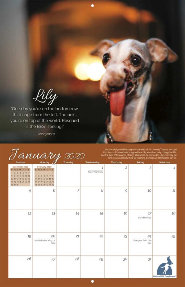 National Mill Dog Rescue 2020 Calendar Fundraising