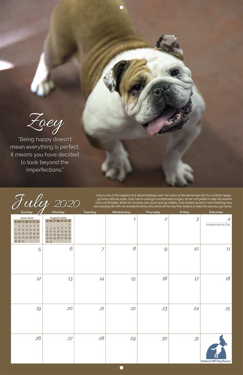 National Mill Dog Rescue 2020 Calendar Fundraising