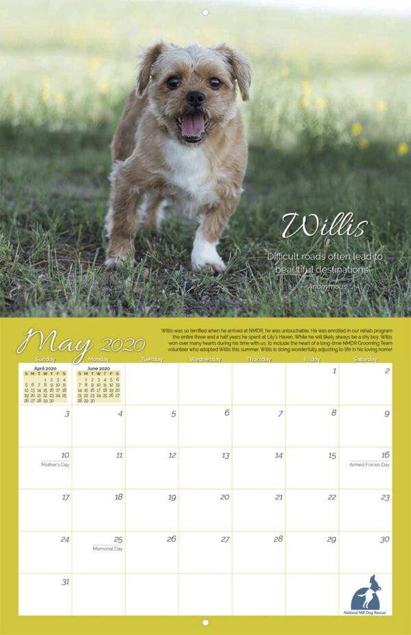 National Mill Dog Rescue 2020 Calendar Fundraising