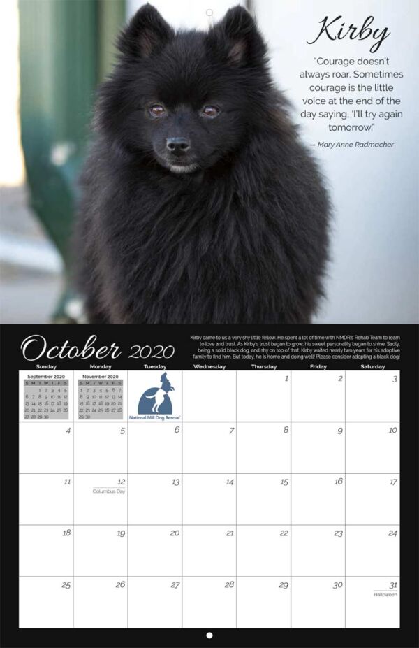 National Mill Dog Rescue 2020 Calendar Fundraising
