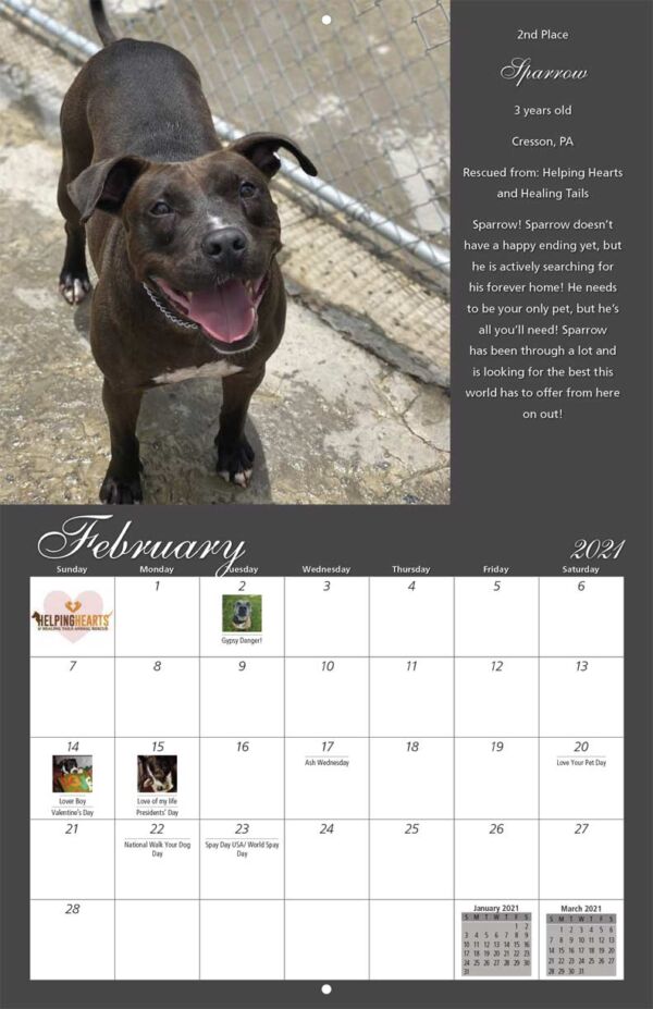 Helping Hearts & Healing Tails Animal Rescue 2021 Calendar Fundraising