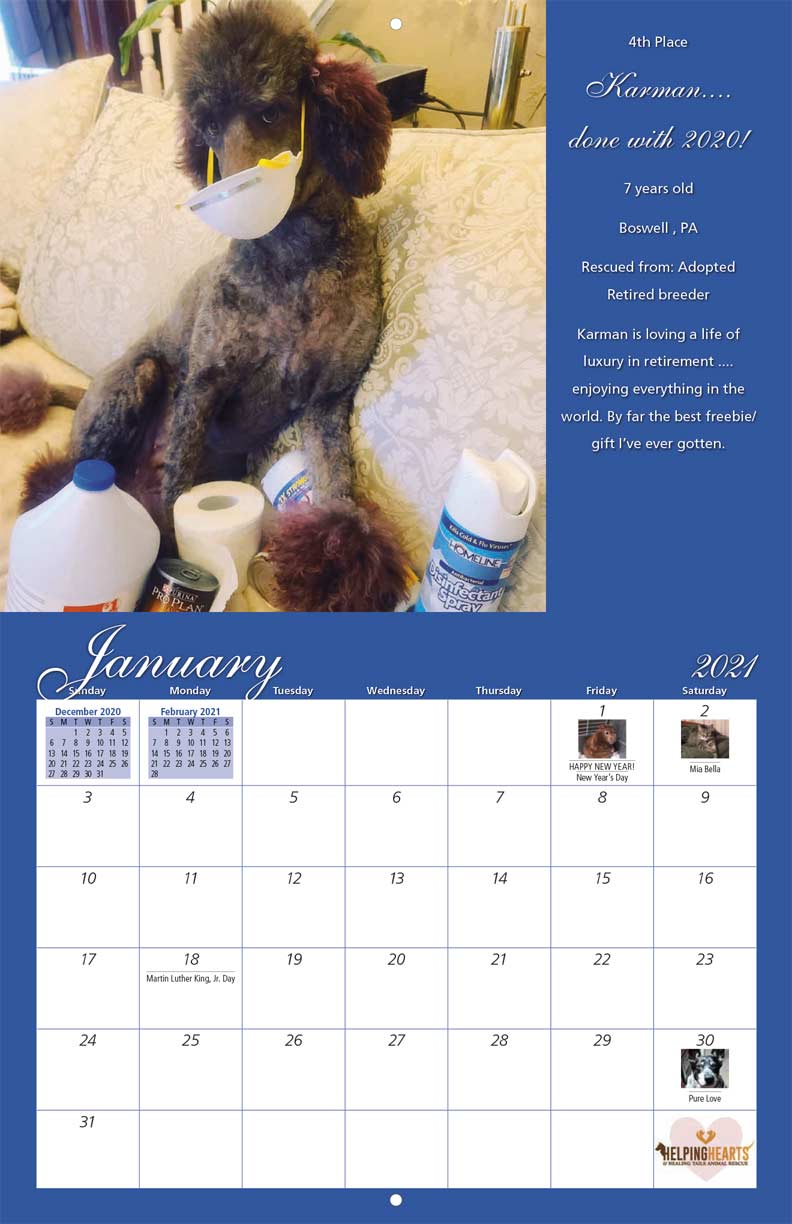 Helping Hearts & Healing Tails Animal Rescue 2021 Calendar Fundraising
