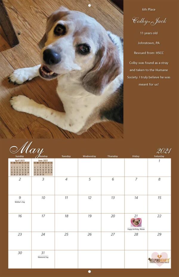 Helping Hearts & Healing Tails Animal Rescue 2021 Calendar Fundraising