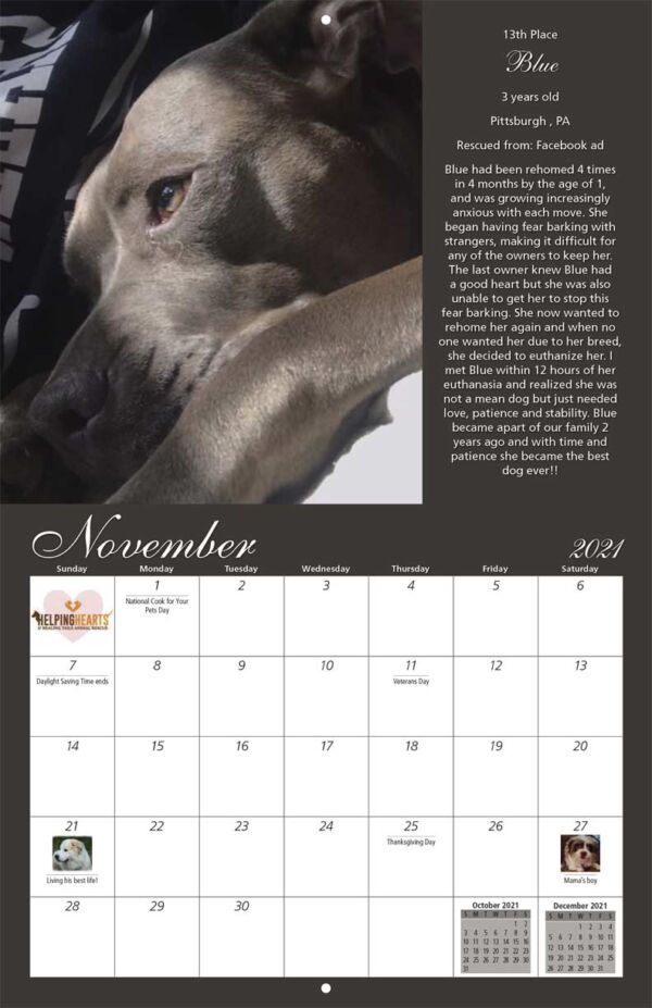 Helping Hearts & Healing Tails Animal Rescue 2021 Calendar Fundraising