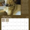 Helping Hearts & Healing Tails Animal Rescue 2021 Calendar Fundraising