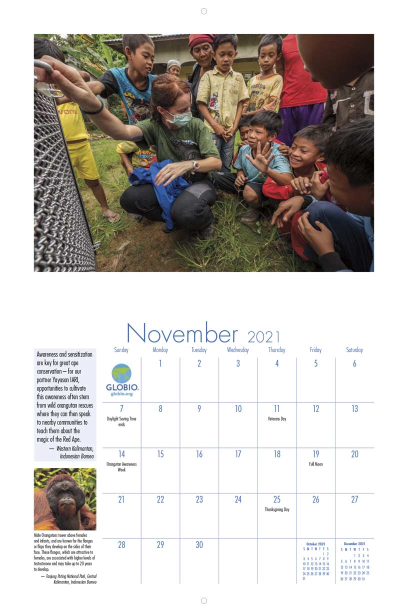 GLOBIO Apes Like Us 2021 Calendar Fundraising