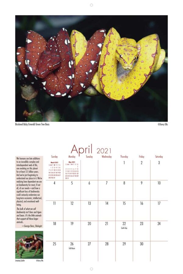GLOBIO/NAAEE Biodiversity 2021 Calendar - Yearbox Calendars
