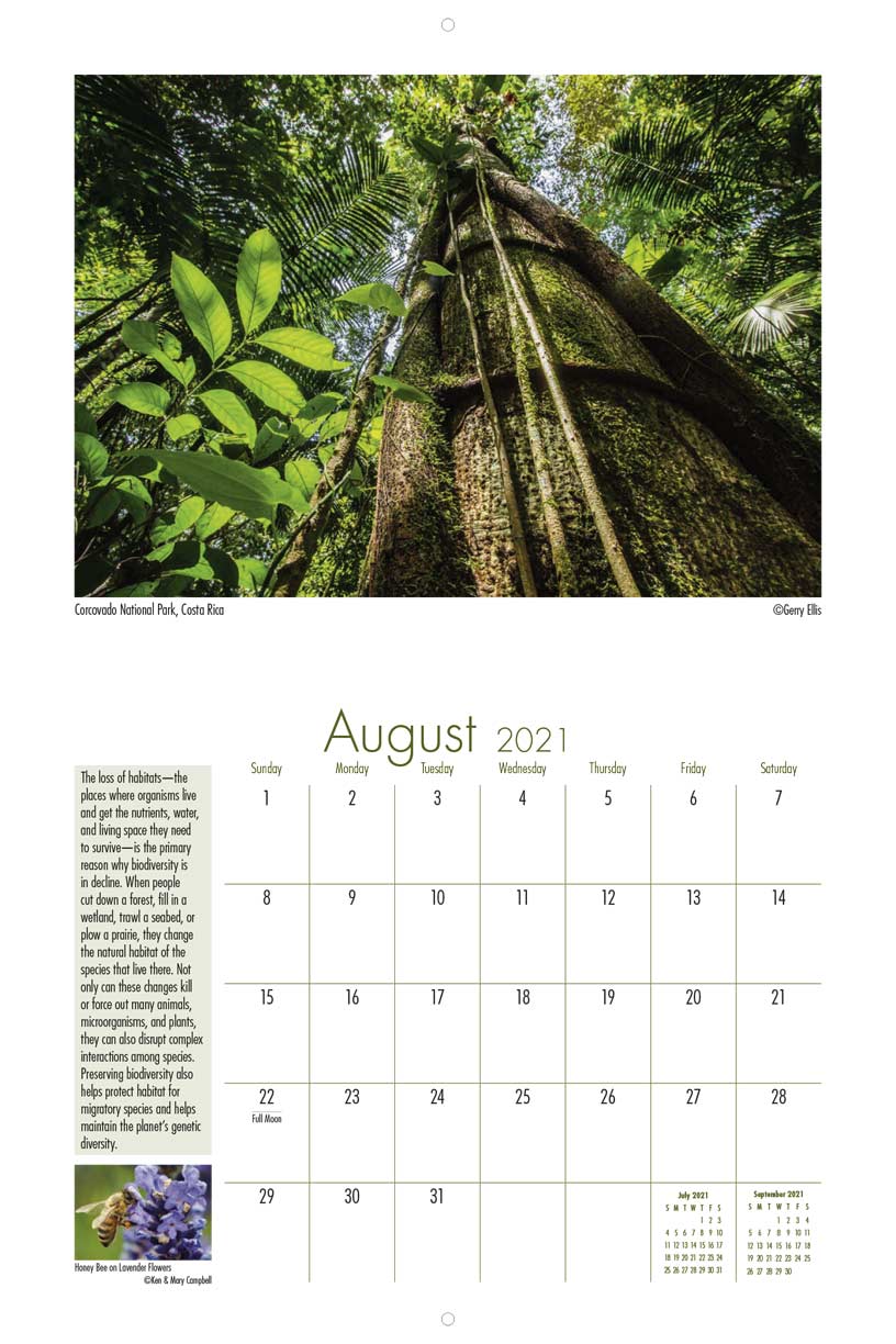 GLOBIO/NAAEE Biodiversity 2021 Calendar - Yearbox Calendars