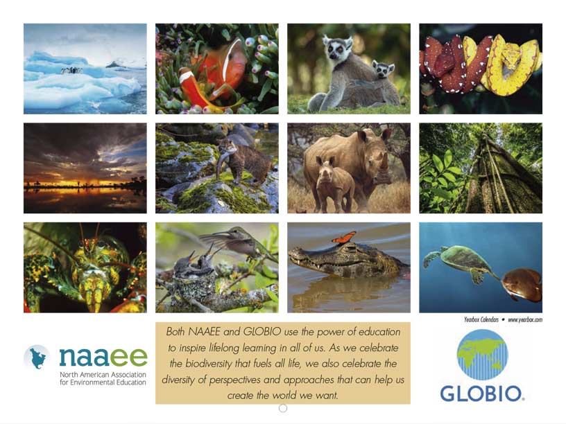 GLOBIO/NAAEE Biodiversity 2021 Calendar - Yearbox Calendars