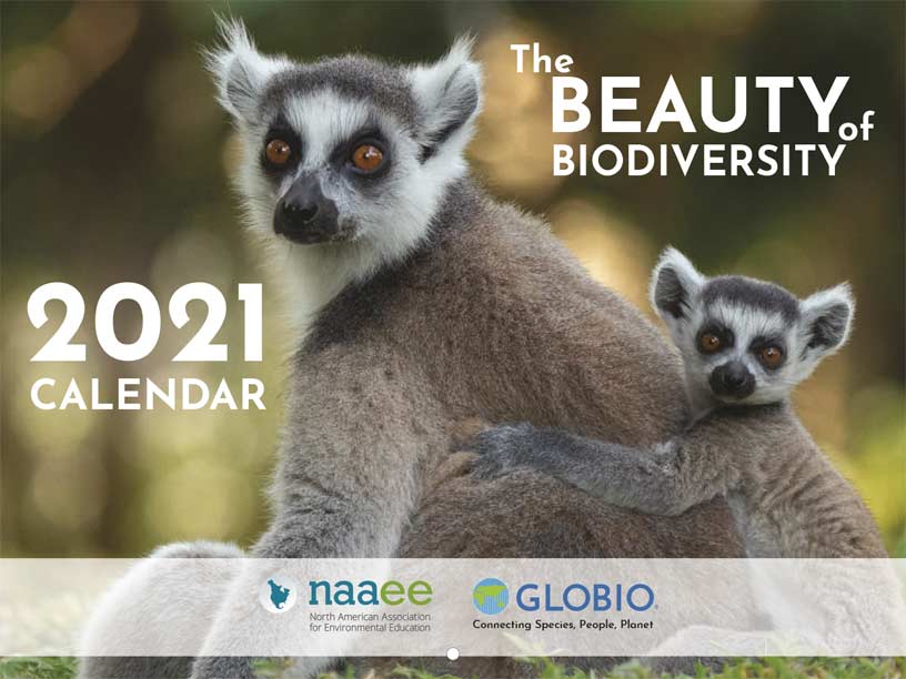 GLOBIO/NAAEE Biodiversity 2021 Calendar - Yearbox Calendars