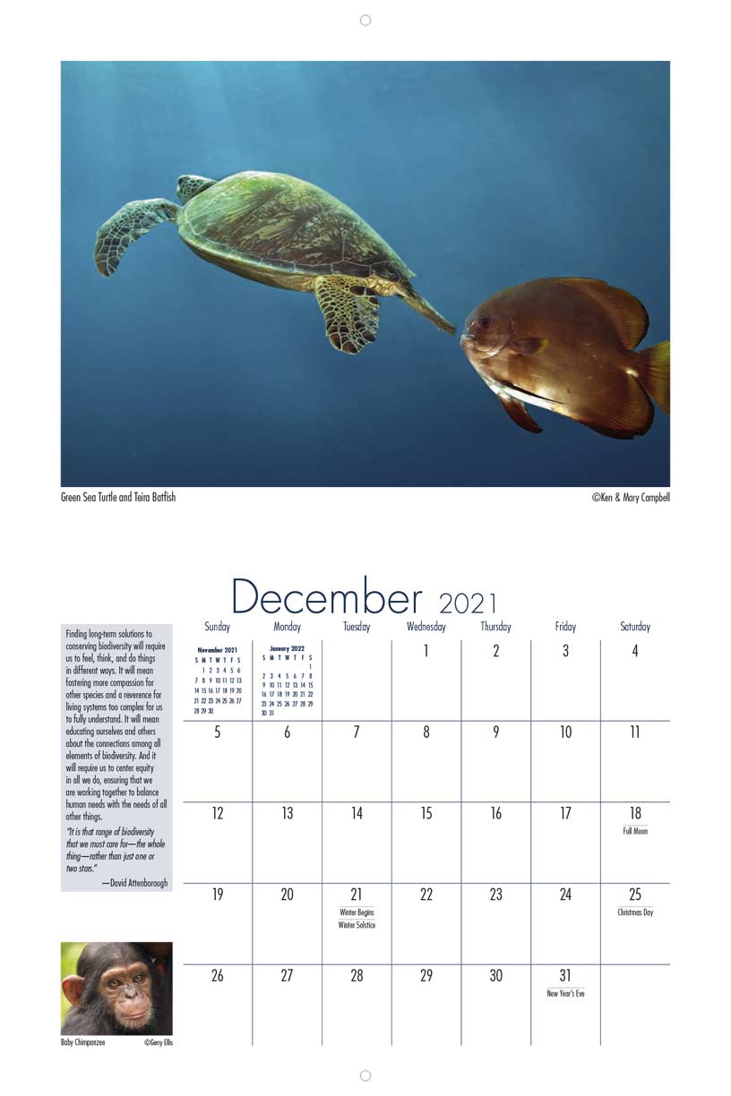 GLOBIO/NAAEE Biodiversity 2021 Calendar - Yearbox Calendars