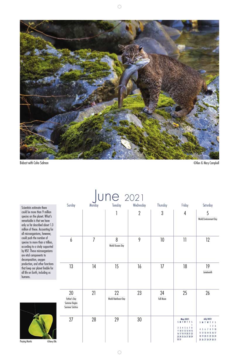 GLOBIO/NAAEE Biodiversity 2021 Calendar - Yearbox Calendars