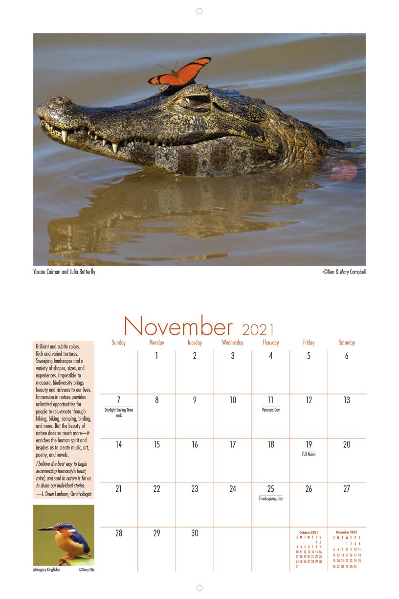 GLOBIO/NAAEE Biodiversity 2021 Calendar - Yearbox Calendars