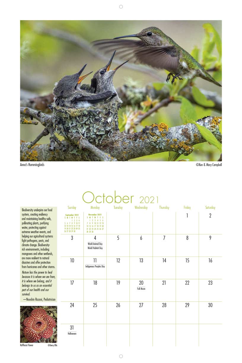 GLOBIO/NAAEE Biodiversity 2021 Calendar - Yearbox Calendars