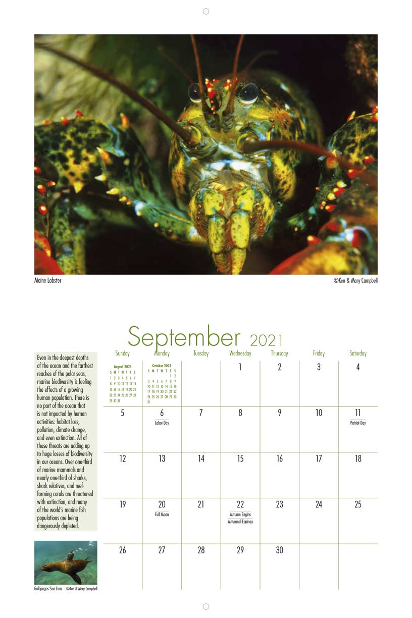 GLOBIO/NAAEE Biodiversity 2021 Calendar - Yearbox Calendars