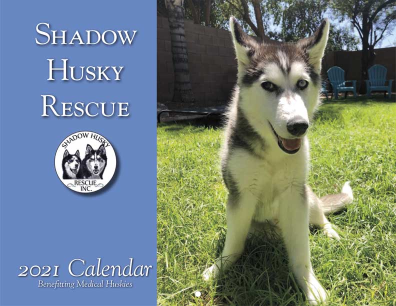 Shadow Husky Rescue 2021 Calendar - Yearbox Calendars