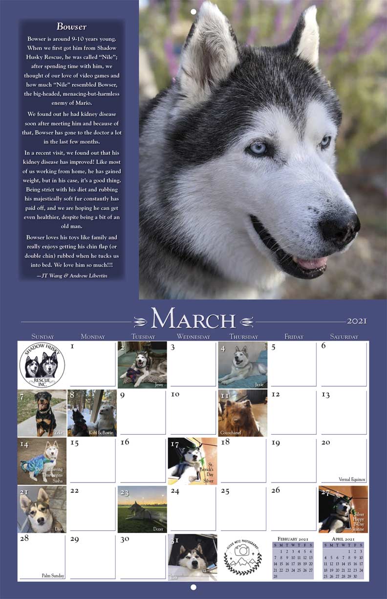 Shadow Husky Rescue 2021 Calendar - Yearbox Calendars