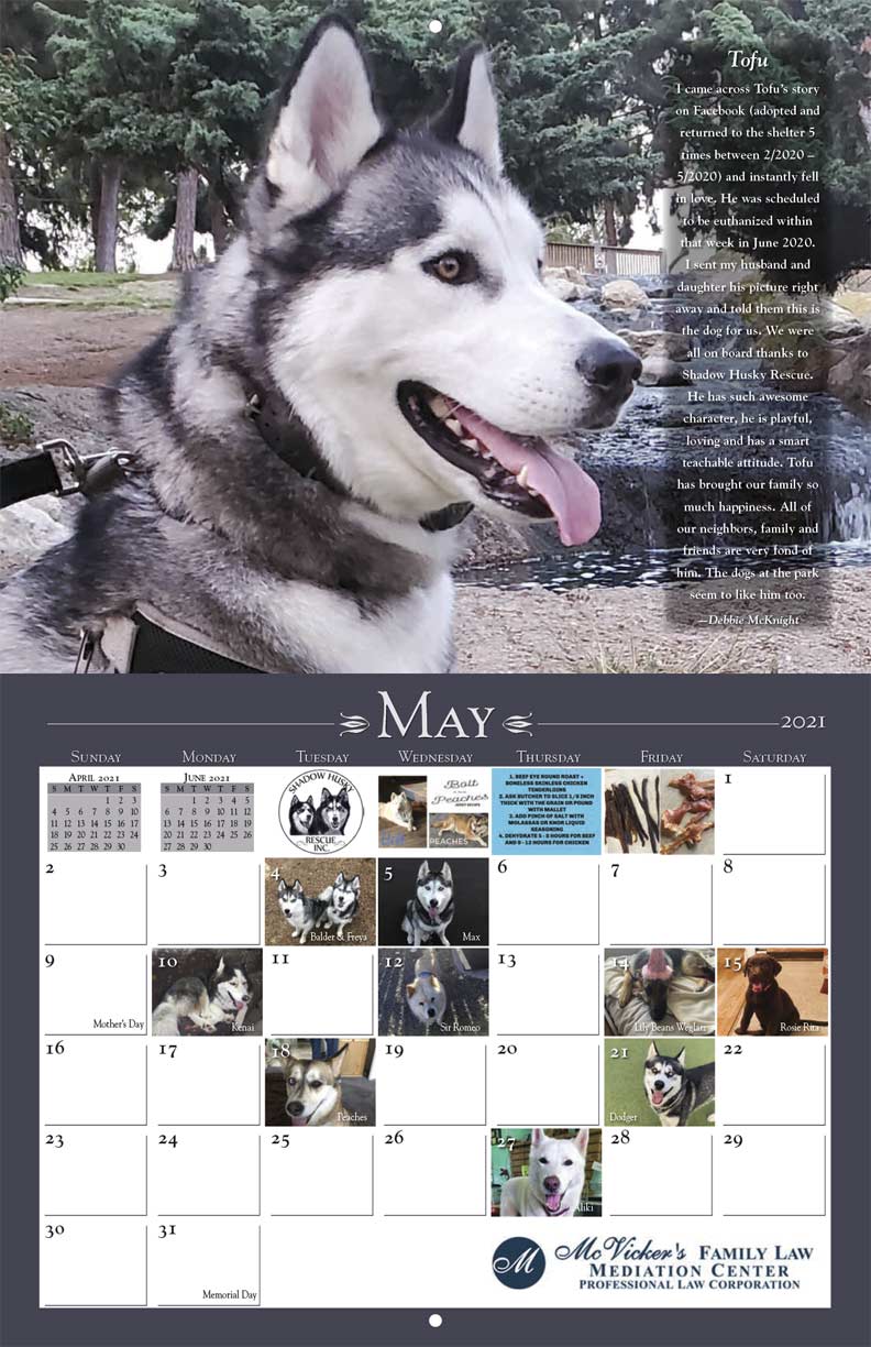Shadow Husky Rescue 2021 Calendar - Yearbox Calendars