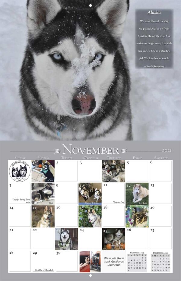 Shadow Husky Rescue 2021 Calendar - Yearbox Calendars