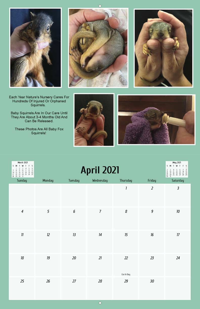 Nature's Nursery 2021 Calendar