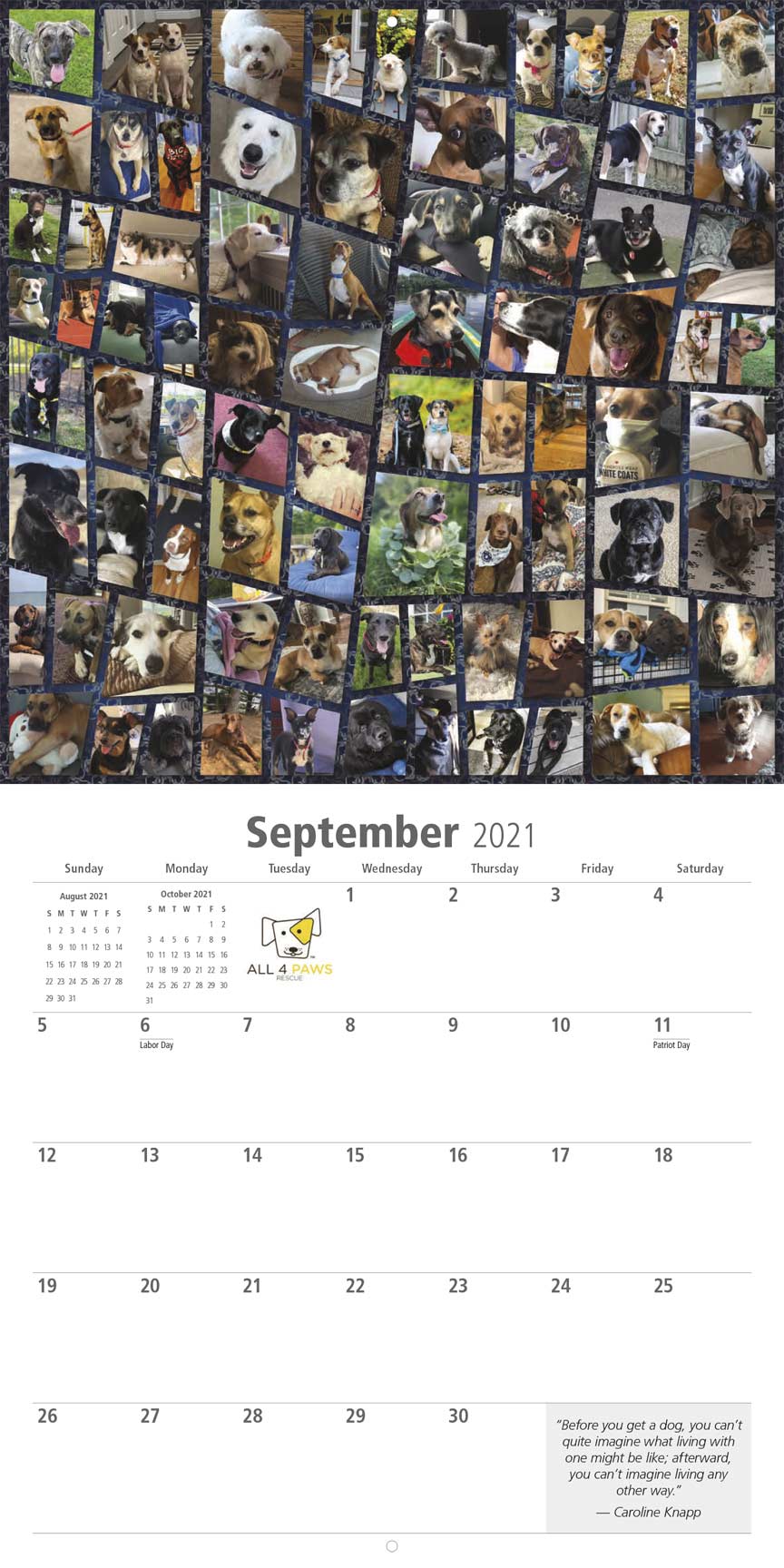 All 4 Paws Rescue 2021 Calendar Fundraising
