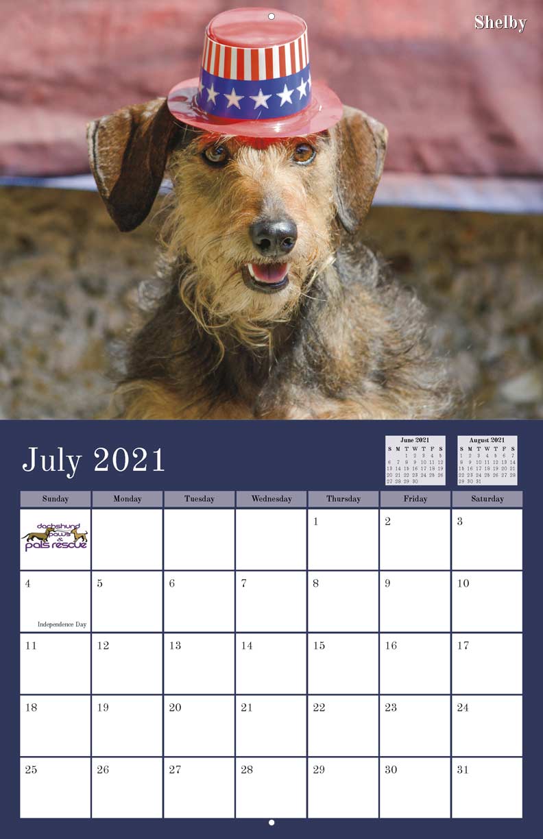 Dachshund Paws and Pals Rescue 2021 Calendar Fundraising