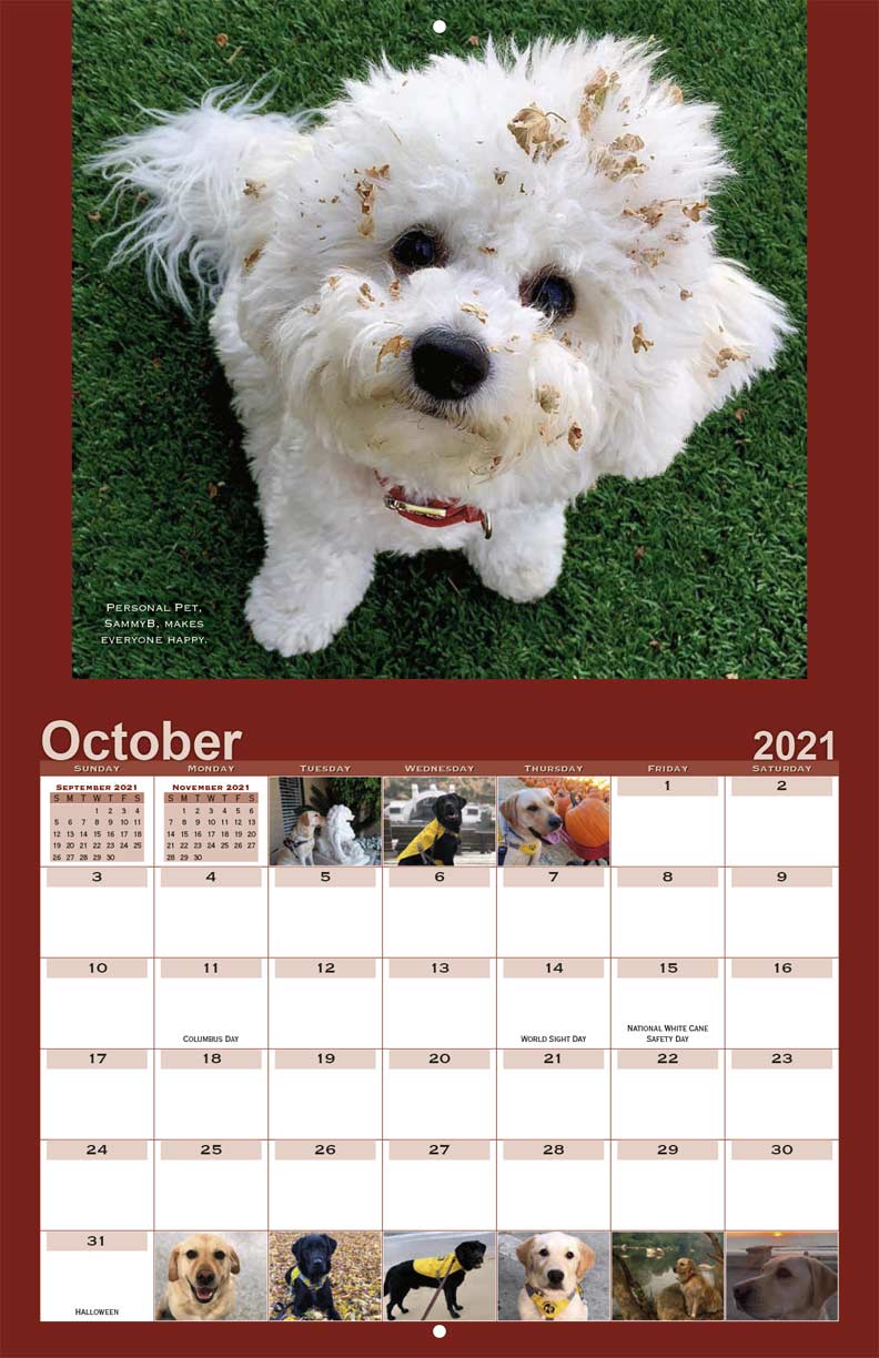Guide Dogs of America Pawsitivity 2021 Calendar