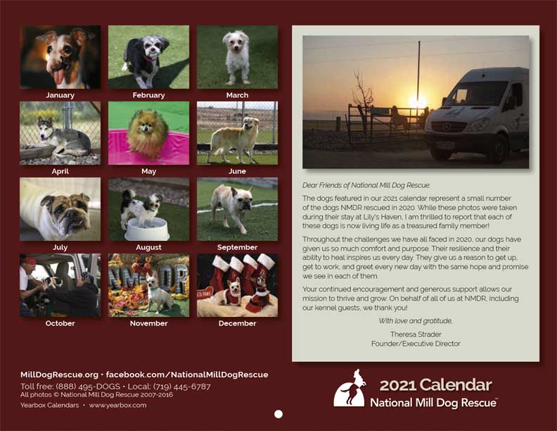 National Mill Dog Rescue 2021 Calendar Fundraising