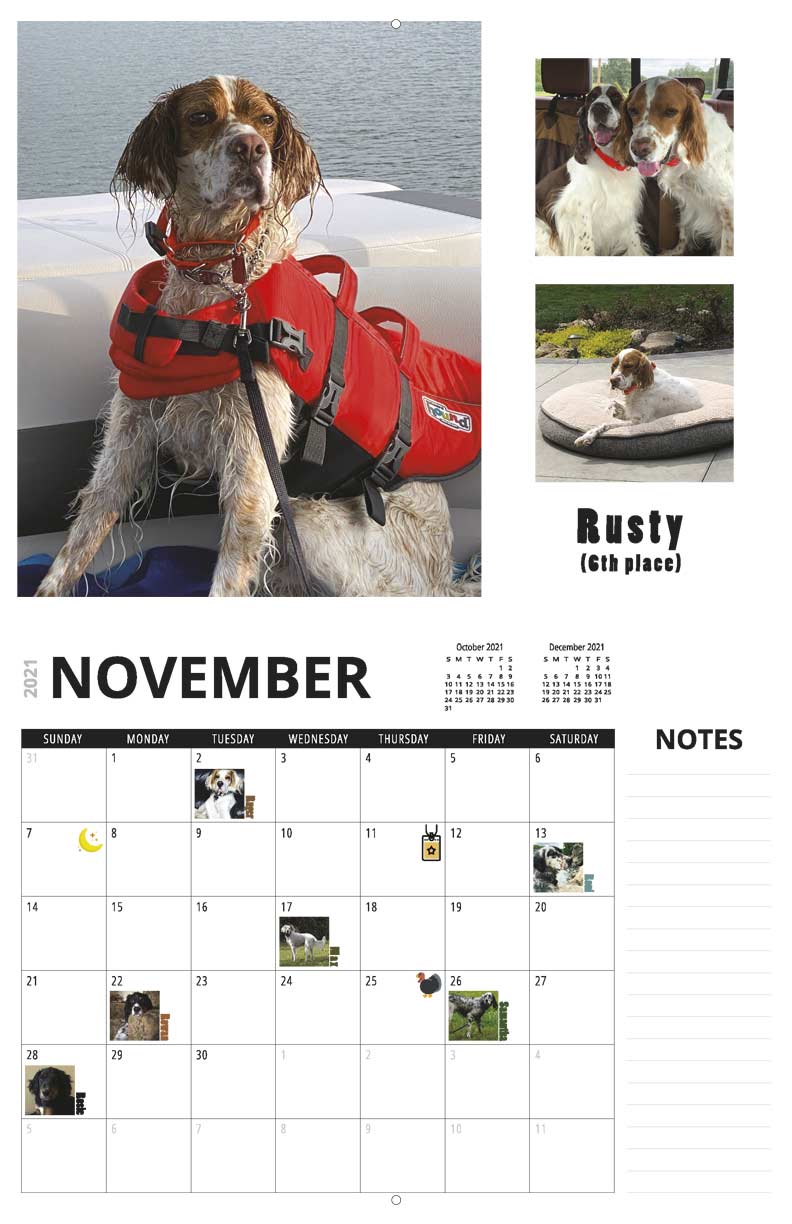 Our English Setter Rescue 2020 Calendar Fundraising