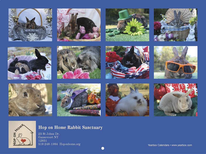 Rabbit Rescue 2021 Calendar Fundraising