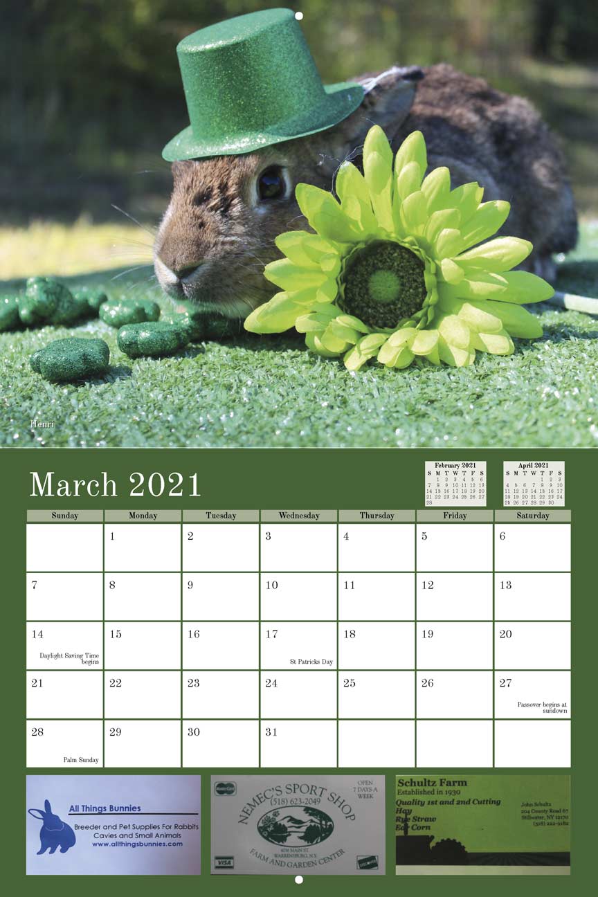 Rabbit Rescue 2021 Calendar Fundraising