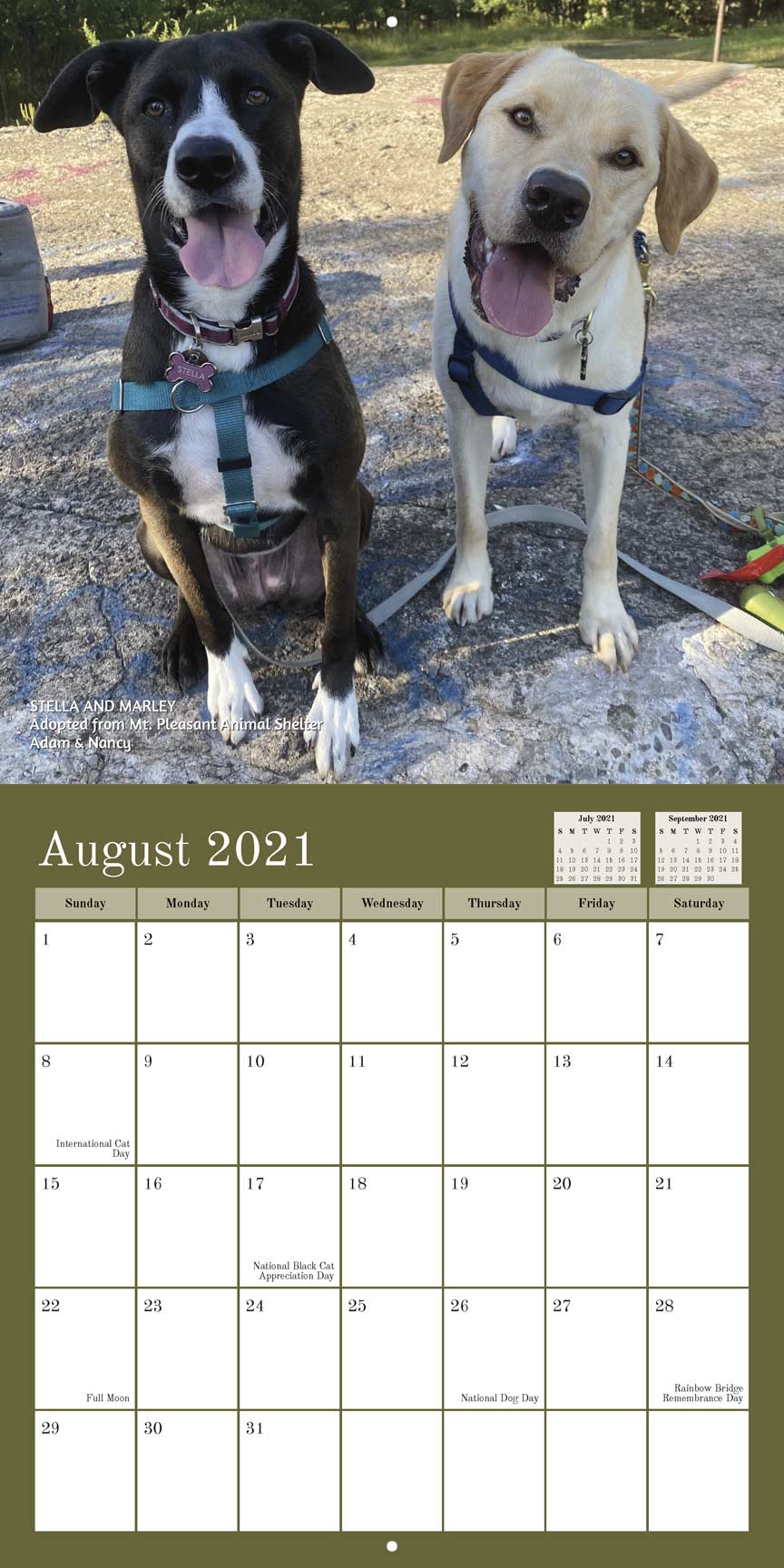 Angels of Animals 2021 Calendar Fundraising