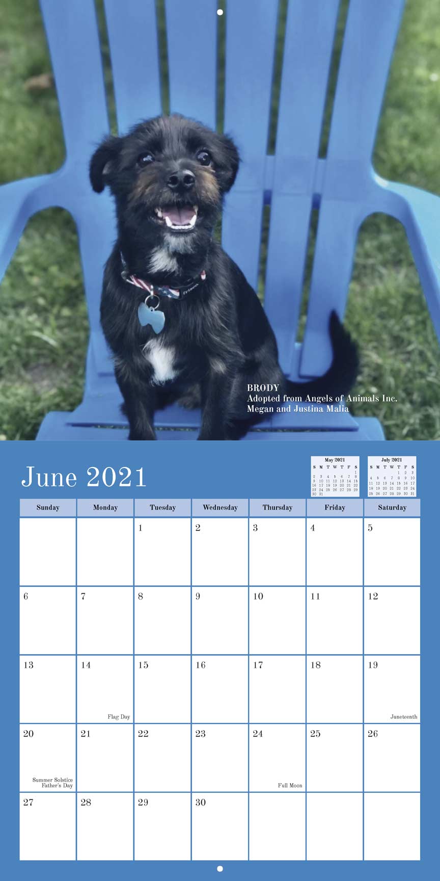 Angels of Animals 2021 Calendar Fundraising
