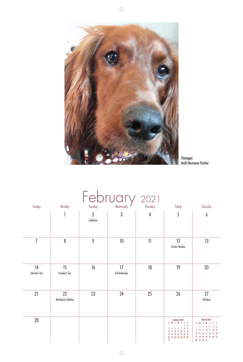 Irish Setter Lovers 2021 Calendar Fundraising