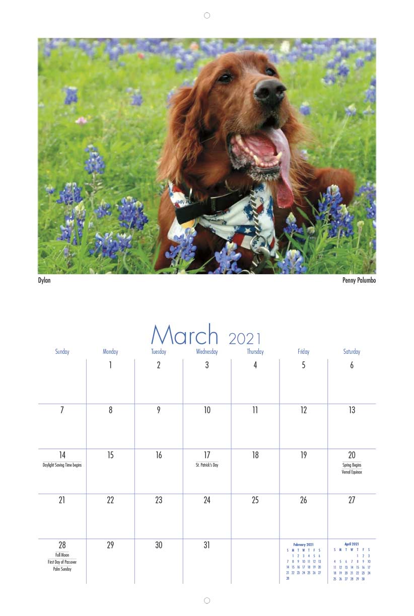 Irish Setter Lovers 2021 Calendar Fundraising
