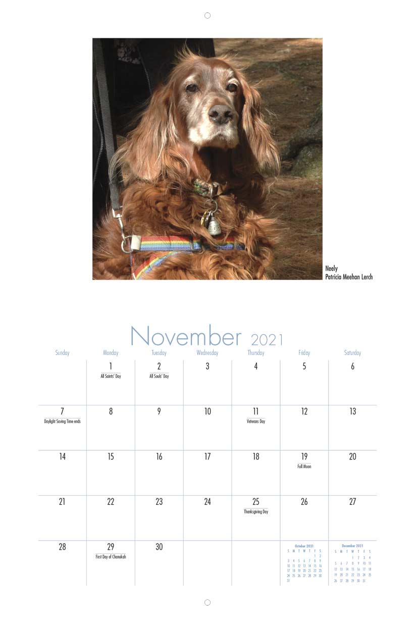 Irish Setter Lovers 2021 Calendar Fundraising