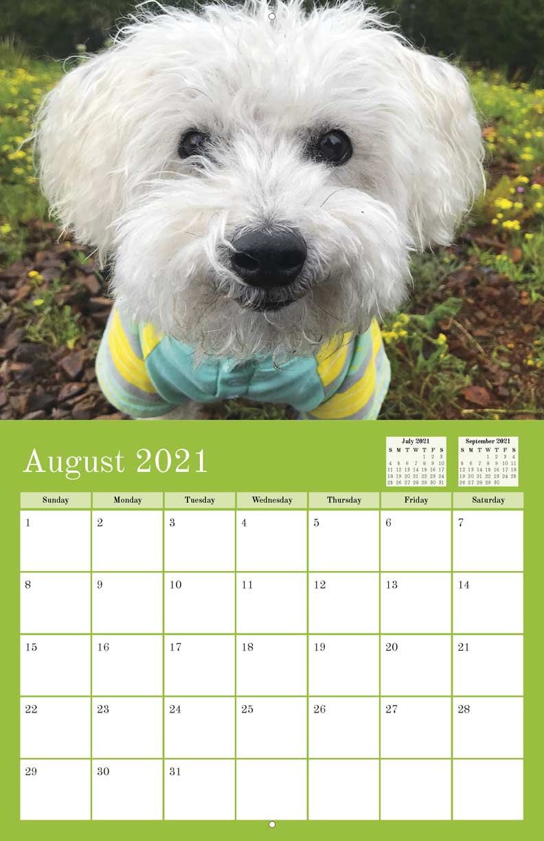 Largent 2021 Calendar Fundraising