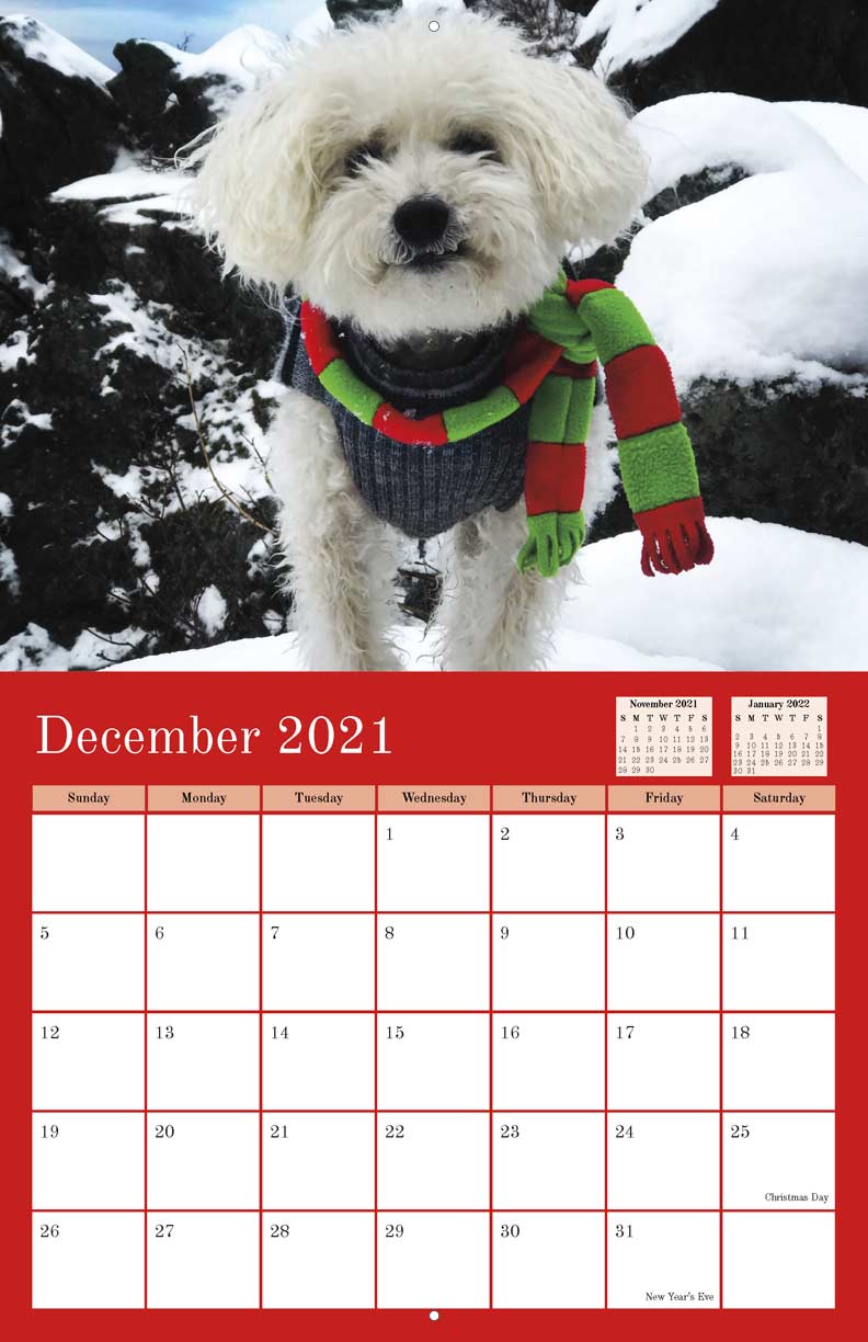 Largent 2021 Calendar Fundraising