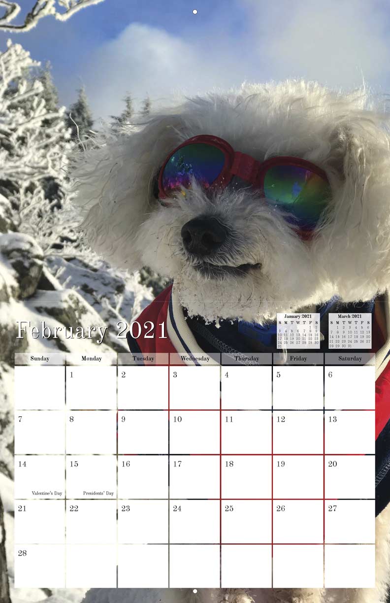 Largent 2021 Calendar Fundraising