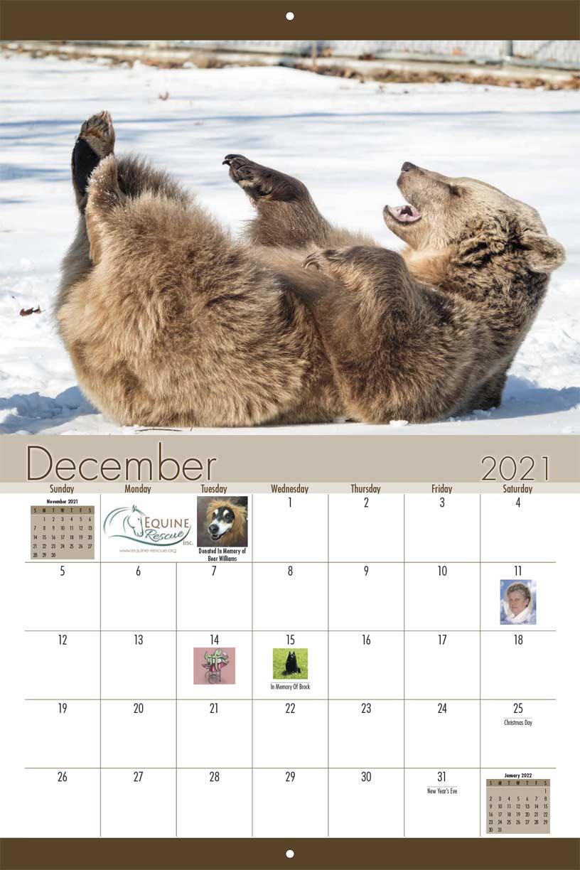 Orphaned Wildlife Center 2021 Calendar Fundraising